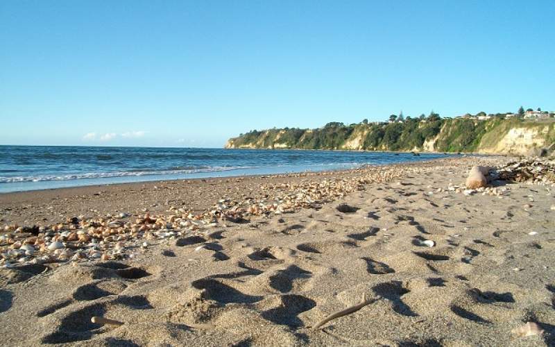 Maketu Beach Holiday Park | Full Service Camp | New Zealand